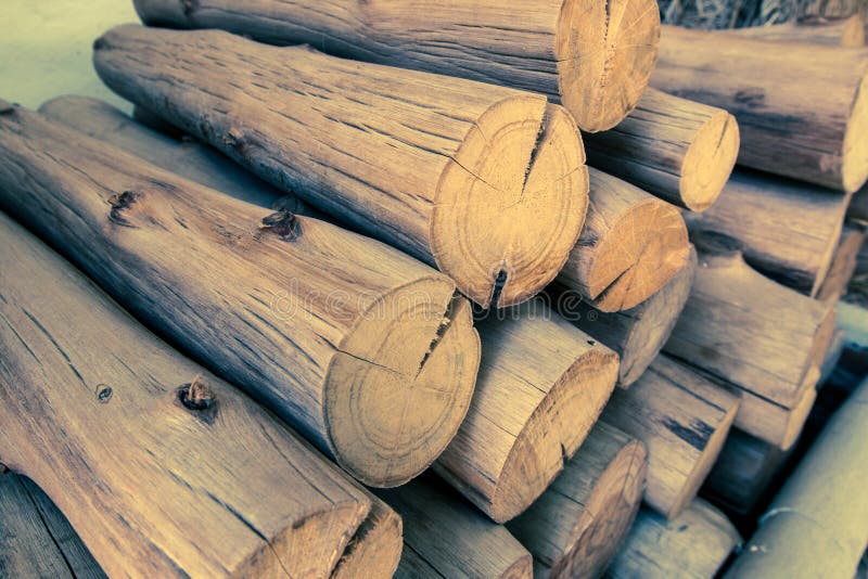 Stack of firewood stick. stock photo. Image of pine, material - 87276112