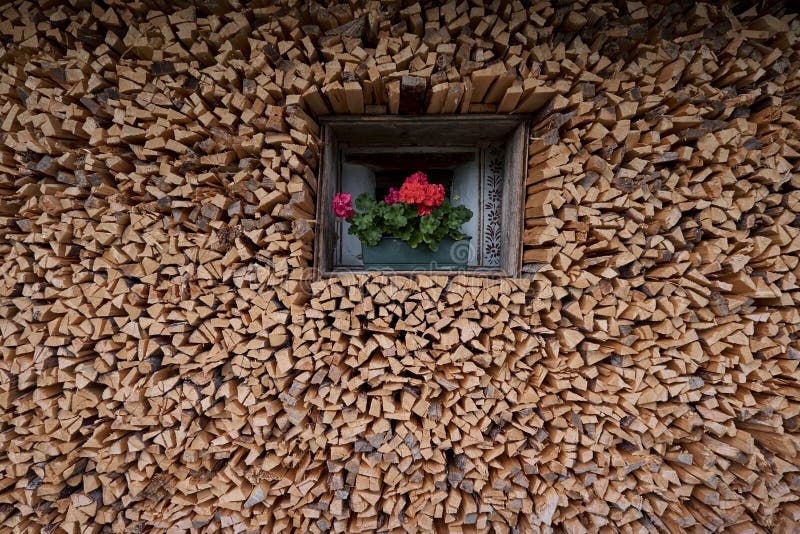 Wallcovering Fire Fly Stock Photos - Free & Royalty-Free Stock Photos ...