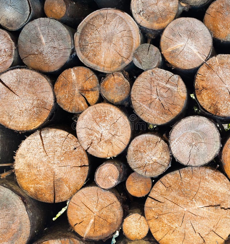 Stack of Firewood. Wood Logs Stock Photo - Image of heap, farm: 153266126