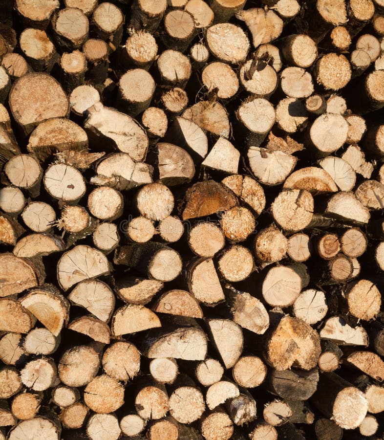 Stack of firewood stock photo. Image of arrangement - 172413224