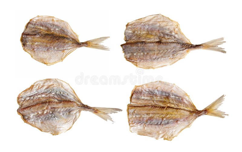 Stack of raw fish stock photo. Image of close, heap, closeup - 79966174
