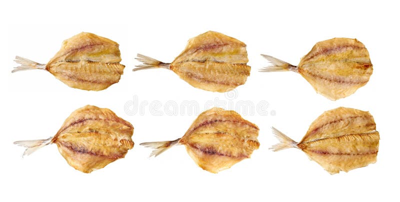 Stack of raw fish stock photo. Image of close, heap, closeup - 79966174