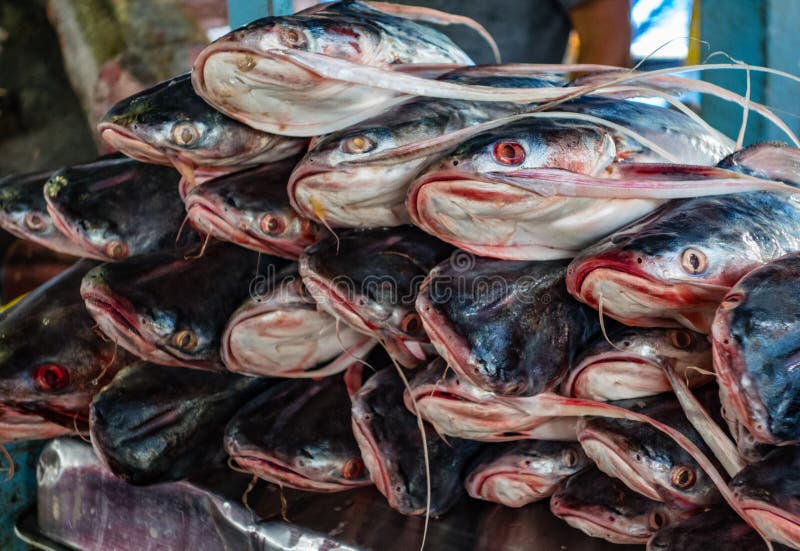 Stack of Fish for Sale at Local Market Stock Photo - Image of vendors ...
