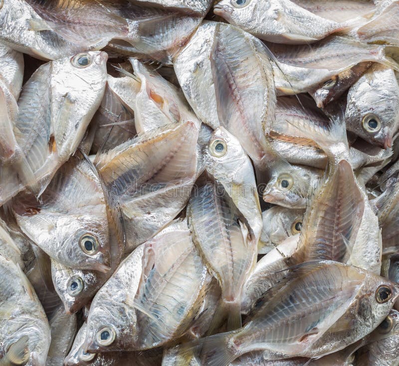 Stack of raw fish stock photo. Image of close, heap, closeup - 79966174
