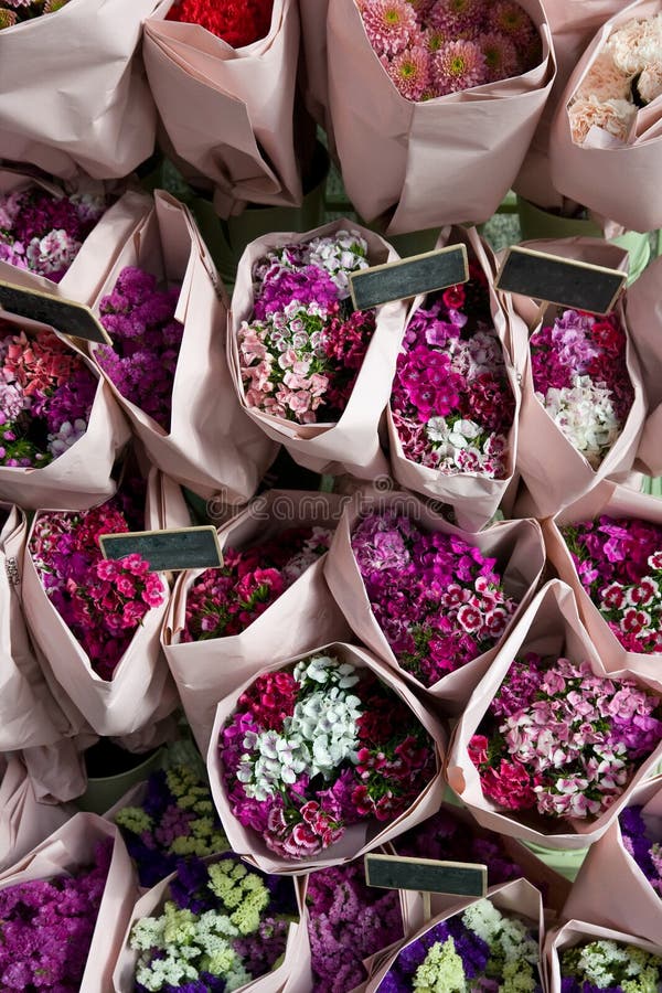 Stack of flowers stock photo. Image of celebrate, pink - 9774118