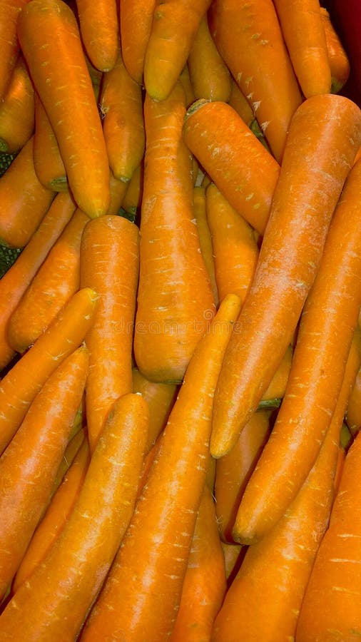 Stack of Carrots stock image. Image of clean, vegitable - 341905