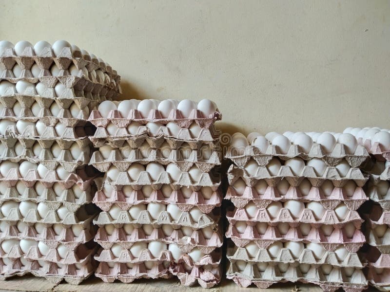 Stack of Fresh Chicken White Eggs in a Cardboard Egg Tray on a Store ...