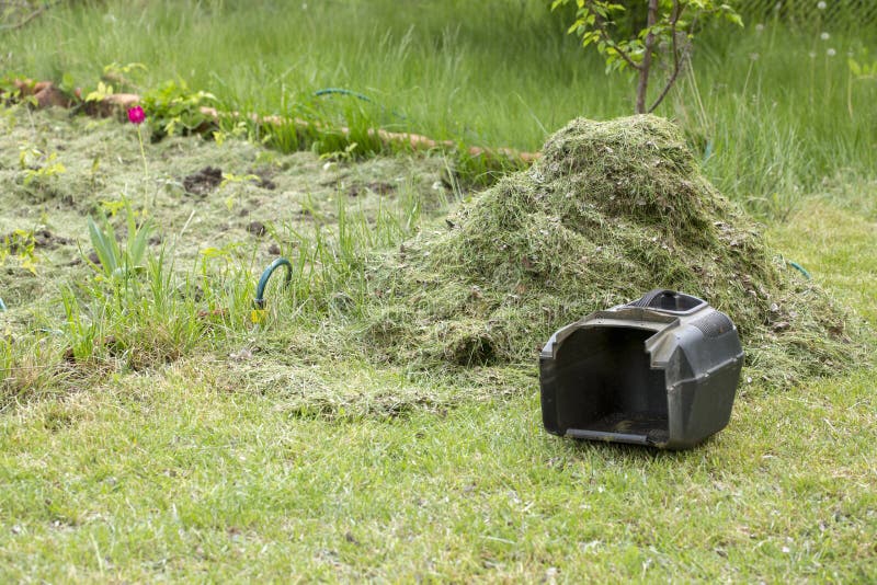 Stack of Fresh Cut Grass on the Lawn Stock Photo - Image of grass ...