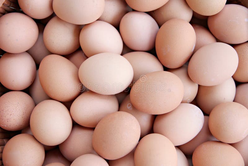Stack of Fresh Egg Container Box. Stock Photo - Image of farm, nature ...