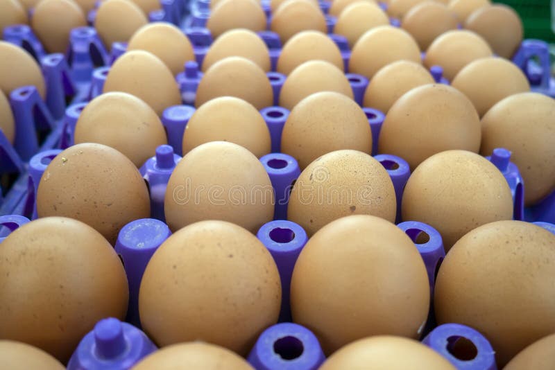 Stack of Fresh Eggs in a Supermarket, in Yogyakarta, Indonesia Stock ...