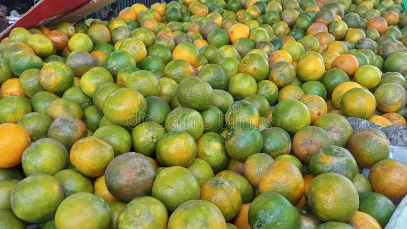 Oranges for Sale in Bulk at the Market Stock Photo - Image of selling ...