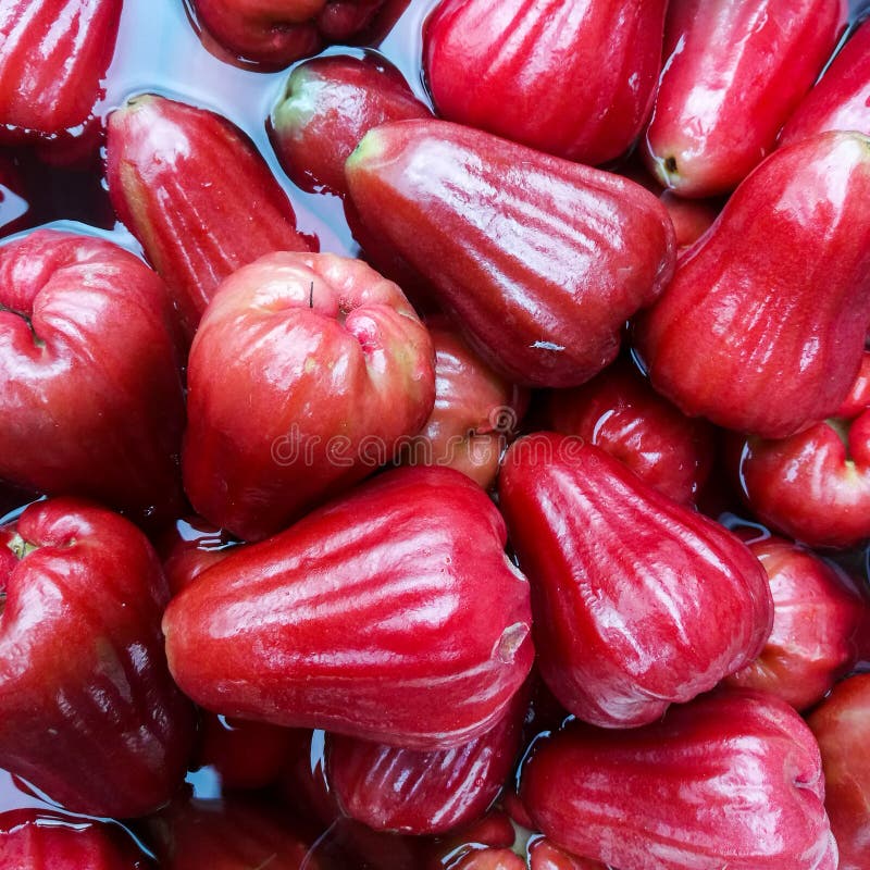 Stack of Fresh Red Rose Apple Stock Photo - Image of clean, ingredient ...