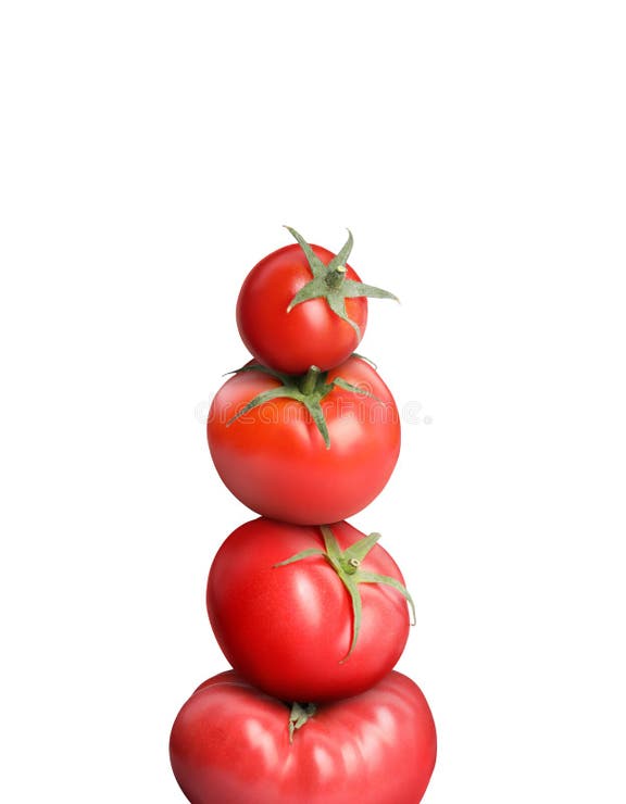 Stack of Fresh Tomatoes Isolated on White Stock Photo - Image of fresh, agriculture: 273097036