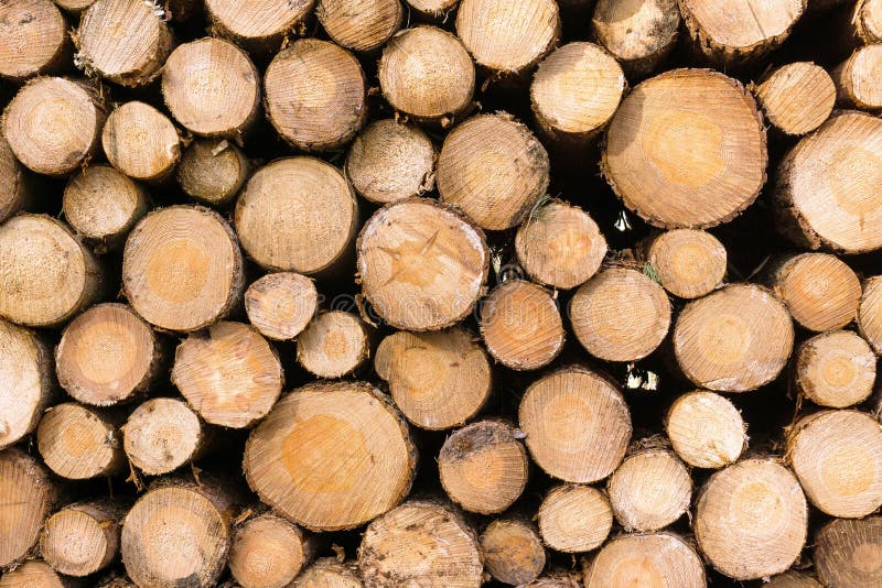 A Stack of Wooden Timber Logs in Various Sizes Stock Image - Image of ...