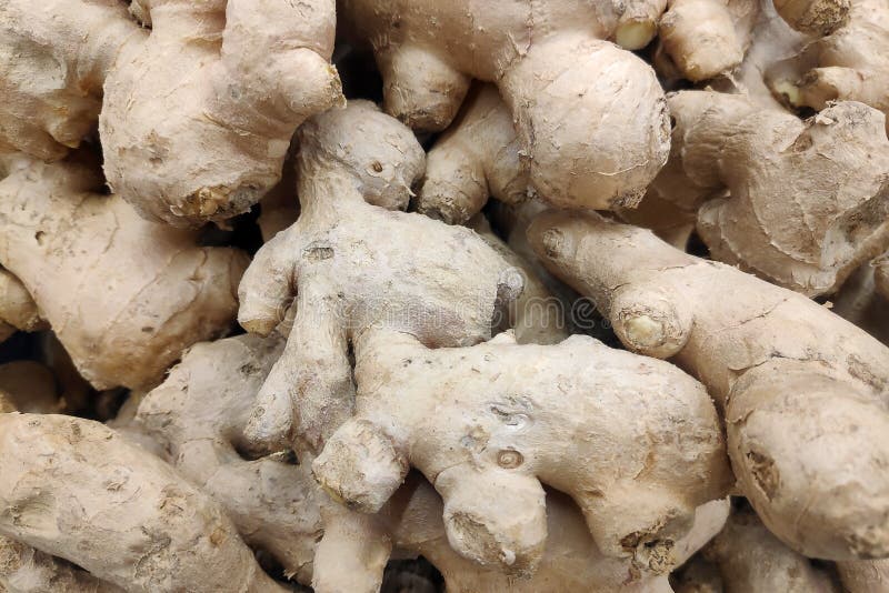 Stack of Ginger on a Market Stall Stock Photo - Image of drink, stack ...