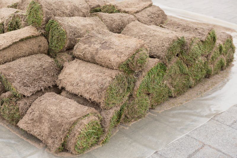 A Stack of Grassy Turf in Rolls, Grass Roll, Ready for Use in ...