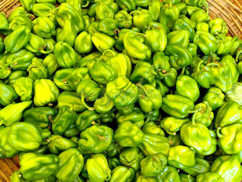 Green Capsicum Vegetable in Indian Market-1 Stock Photo - Image of ...