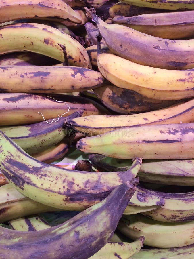 Stack of Green Fresh Bananas Stock Image - Image of organic, delicious ...
