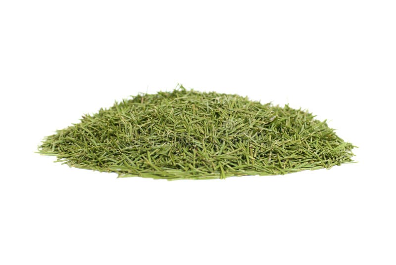 Stack of green needles stock image. Image of heap, bright - 14477457