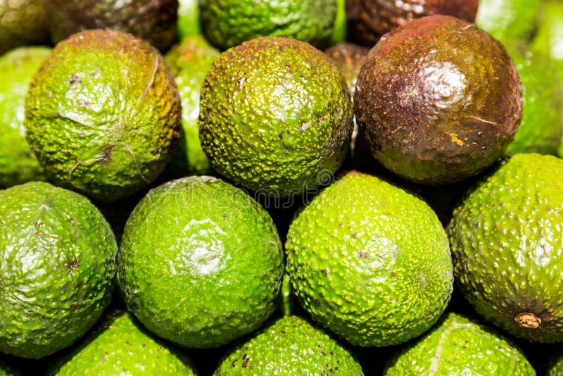 Purple avocado fruit. stock image. Image of healthy, group - 99320229