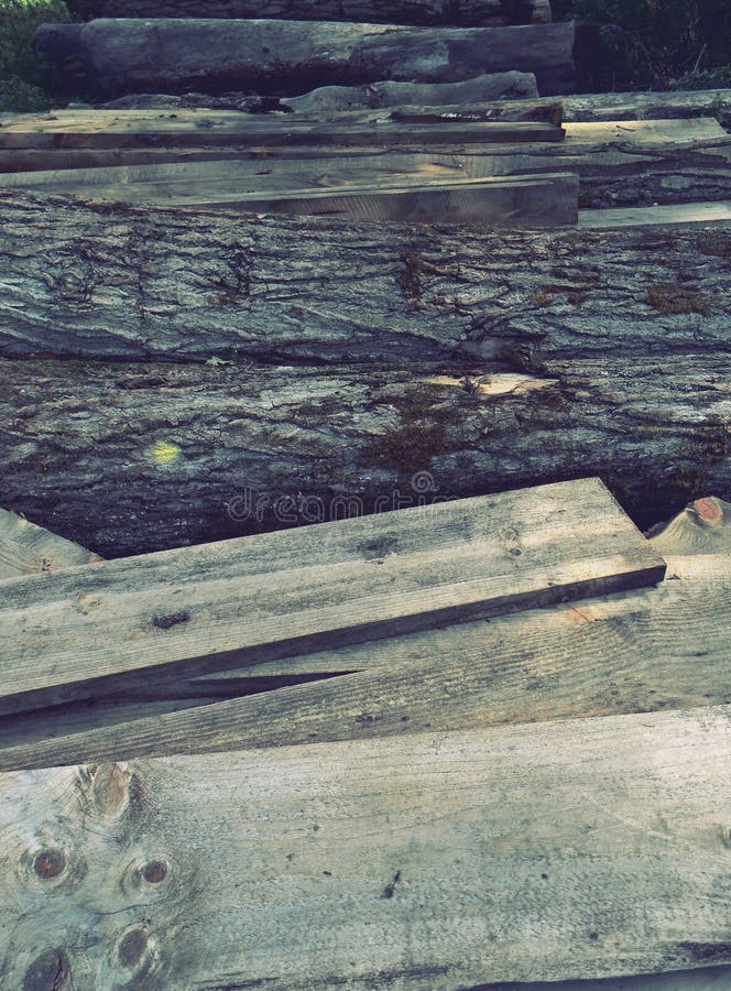 Stack of grey wood outside stock image. Image of trunks - 159636677