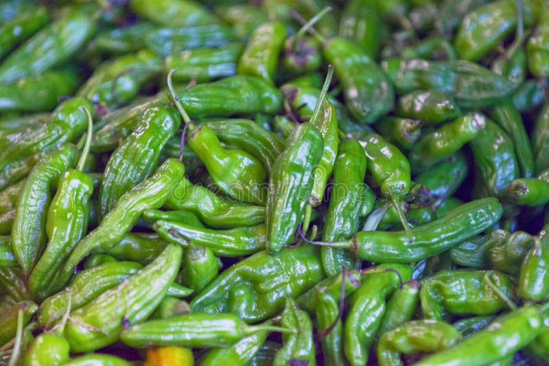 Stack of Gros Piments on a Market Stall Stock Photo - Image of overseas ...