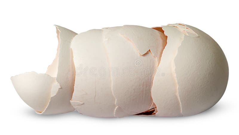 Stack of Halves from Crashed Eggs Horizontally Stock Image - Image of ...