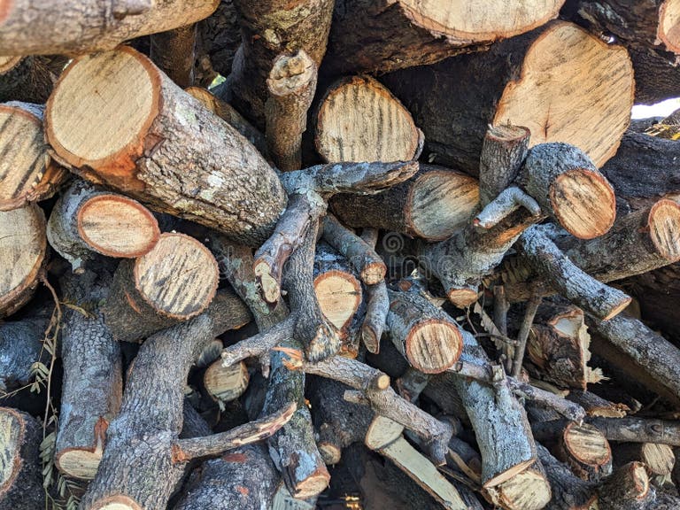 Stack of hardwood logs stock image. Image of isolated - 303300589