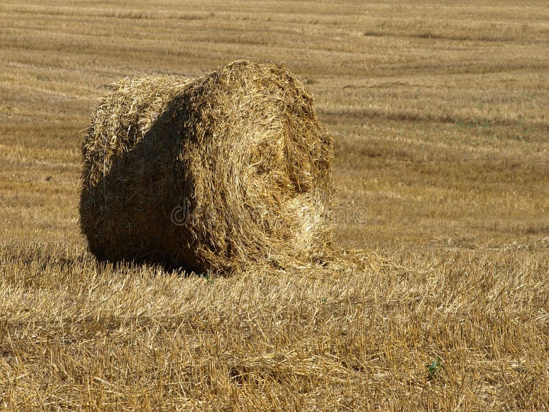 Stack of hay. stock image. Image of plowing, rural, colorful - 15226355