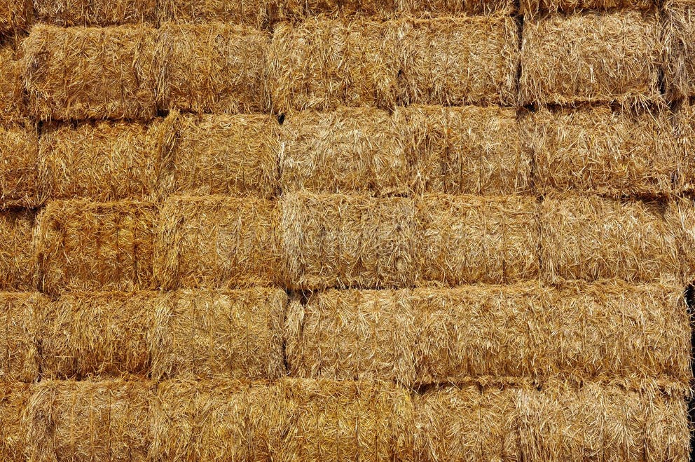 Stack of hay bales stock photo. Image of countryside - 16843958