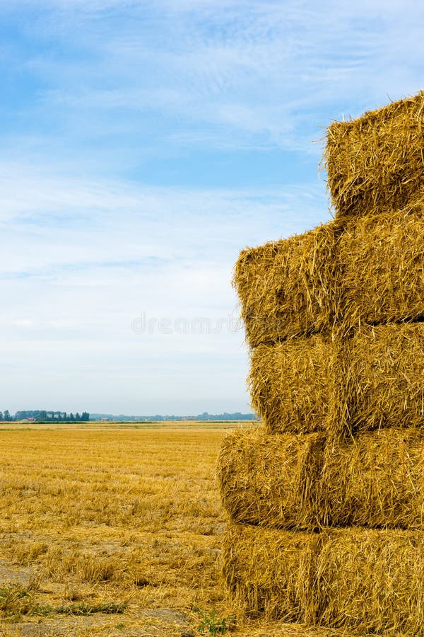 Stack of hay bales stock photo. Image of beige, haystack - 26260636