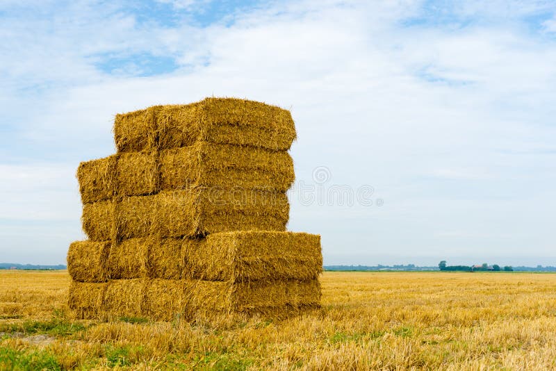 Hay Bale Stack stock image. Image of stacking, farming - 980157