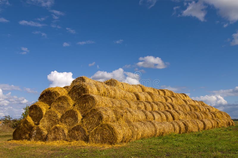 Stack of Hay Bales. stock photo. Image of group, feeding - 26546882