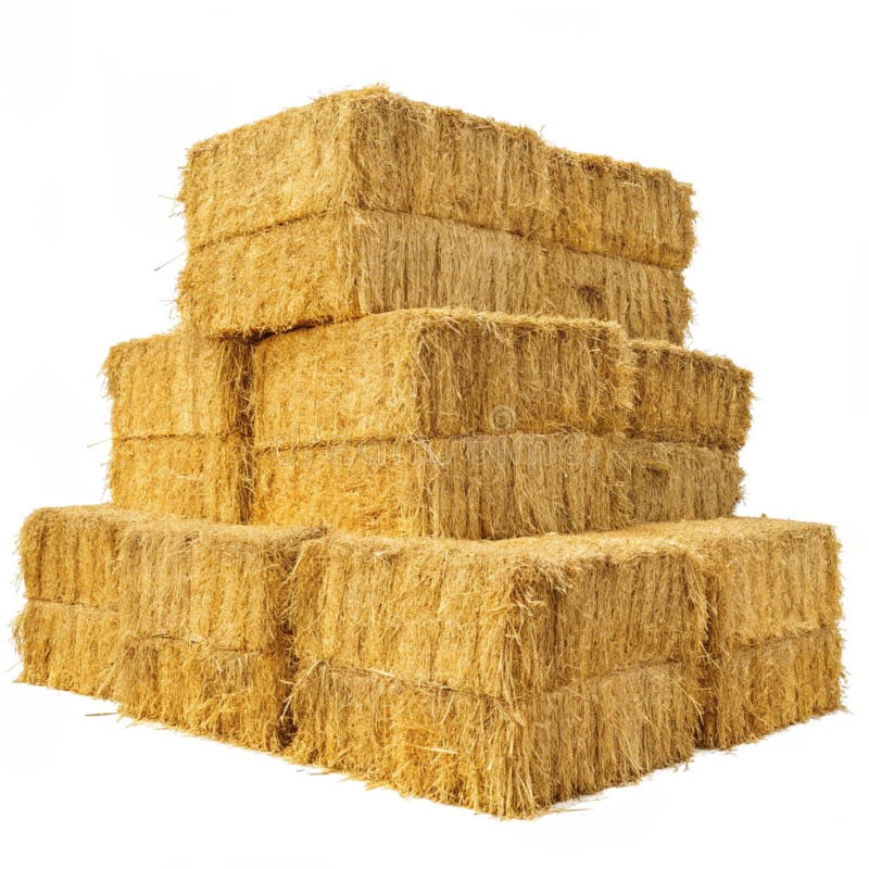 Stack of Hay Bales on Transparent Background Stock Illustration ...