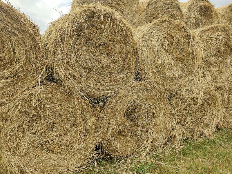 Stack of Hay Bales in Romania Stock Photo - Image of outdoor, field ...