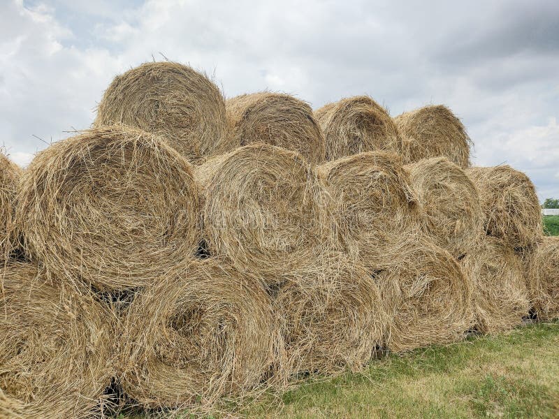 Stack of Hay Bales in Romania Stock Image - Image of nature, farming ...