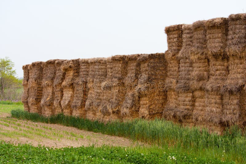 Stack of hay bales stock image. Image of backdrop, country - 30858319