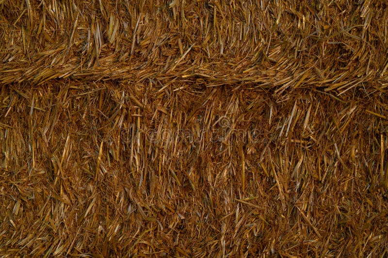 Stack of Hay at Farm. Hay Texture. Hay Bale. Pile of Golden Yellow Hay ...