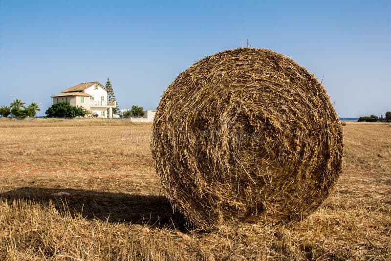 A stack of hay stock photo. Image of earth, nature, harvest - 75128646