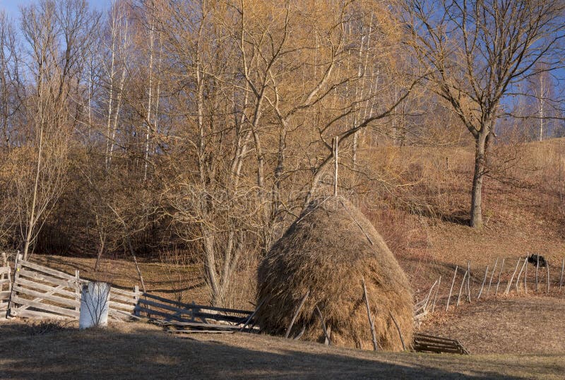 Stack of Hay in Old Style Prepared for Animals Stock Image - Image of ...