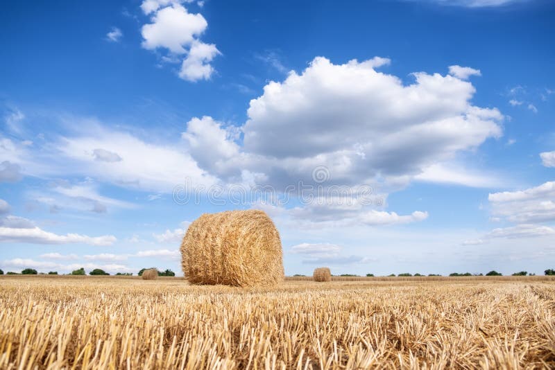A Stack of Hay on the Summer Field. Stock Image - Image of farm, food ...