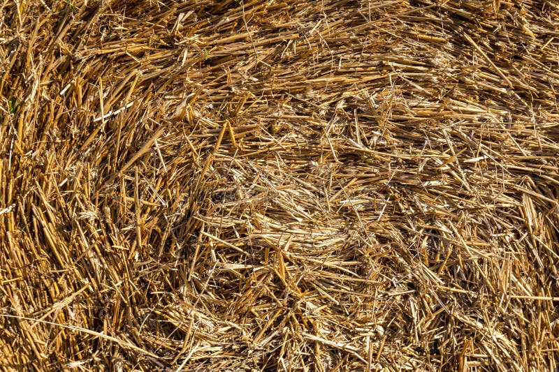 Stack of Hay texture stock image. Image of summer, texture - 259768039