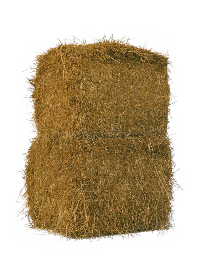 Stack of Hay on White Background Stock Photo - Image of farming, food ...