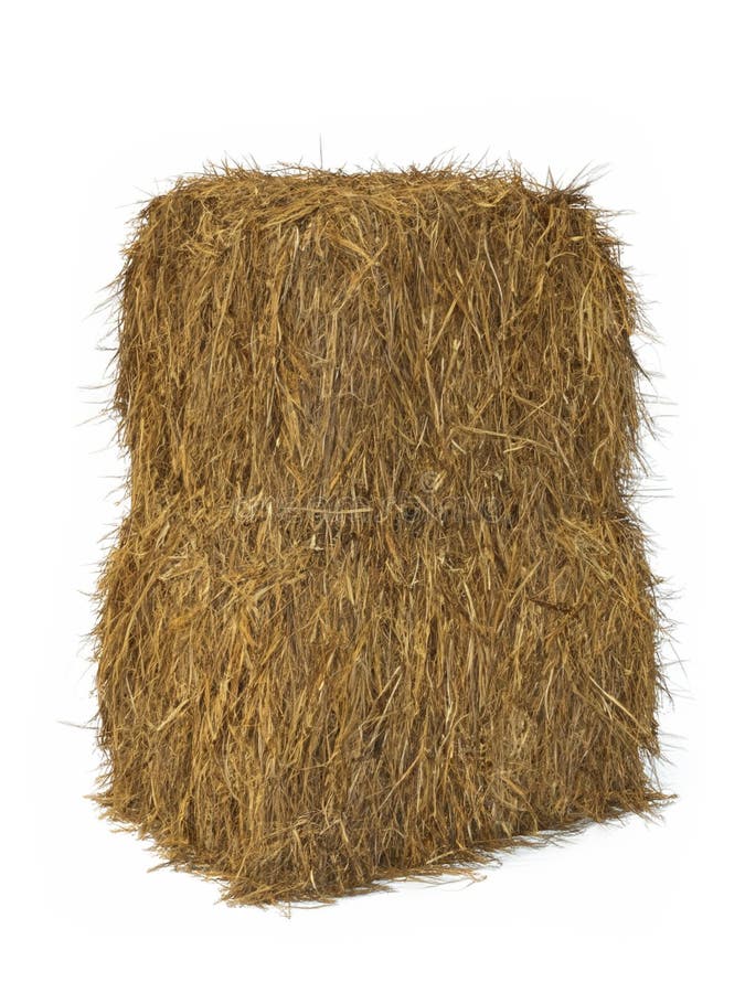 Stack of Hay on White Background Stock Image - Image of pile, straw ...