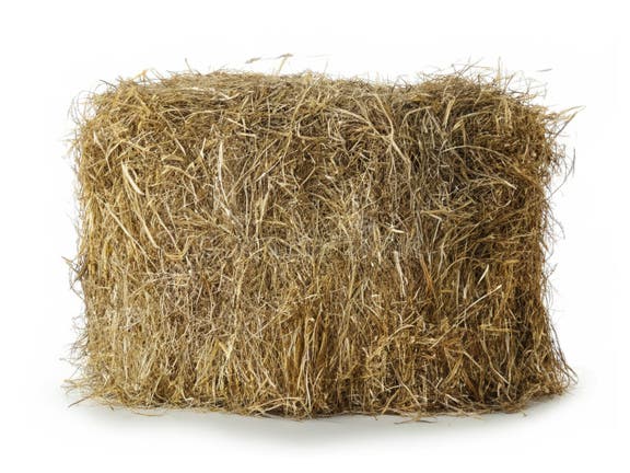 Stack of Hay on White Background Stock Photo - Image of background ...