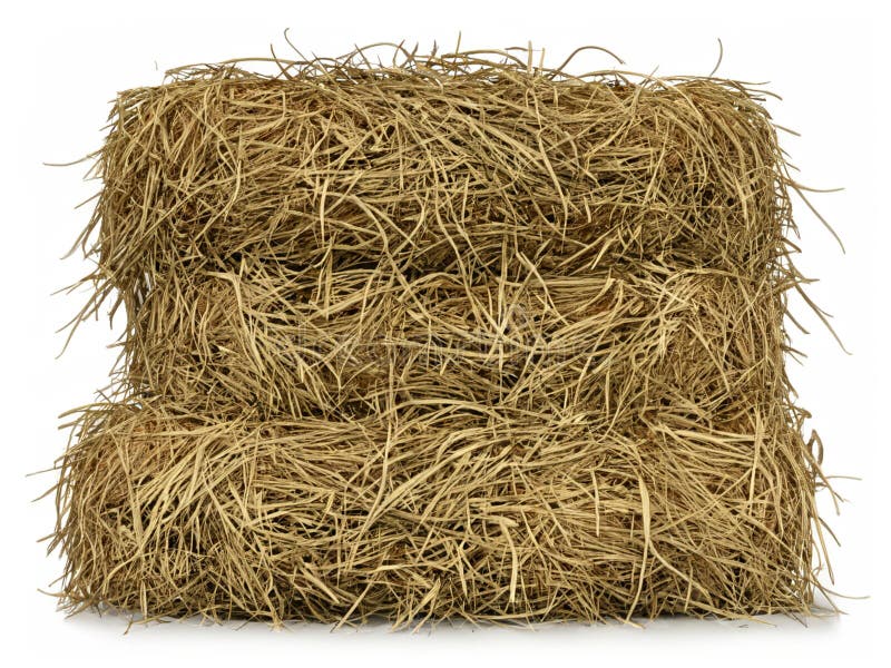 Stack of Hay on a White Background. Isolated on White Stock Photo ...