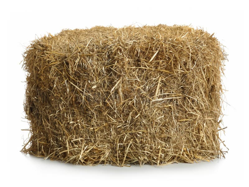 Stack of Haystacks on a White Background Stock Image - Image of ...