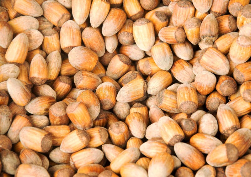 Stack of Hazelnuts. Hazelnut Background Stock Image - Image of november ...