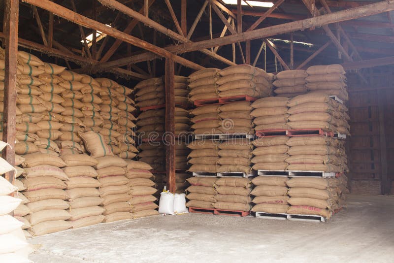 Stack hemp sacks of rice stock photo. Image of natural - 38968058