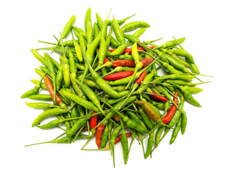 Stack of Hot Chili Pepper or Small Chili Padi. Stock Image - Image of ...